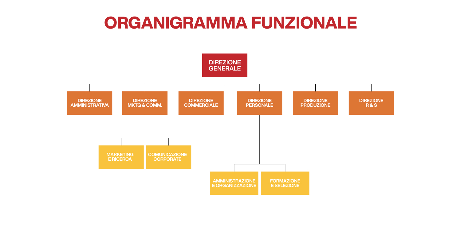 Organigramma aziendale: tipologie, esempi e come funziona
